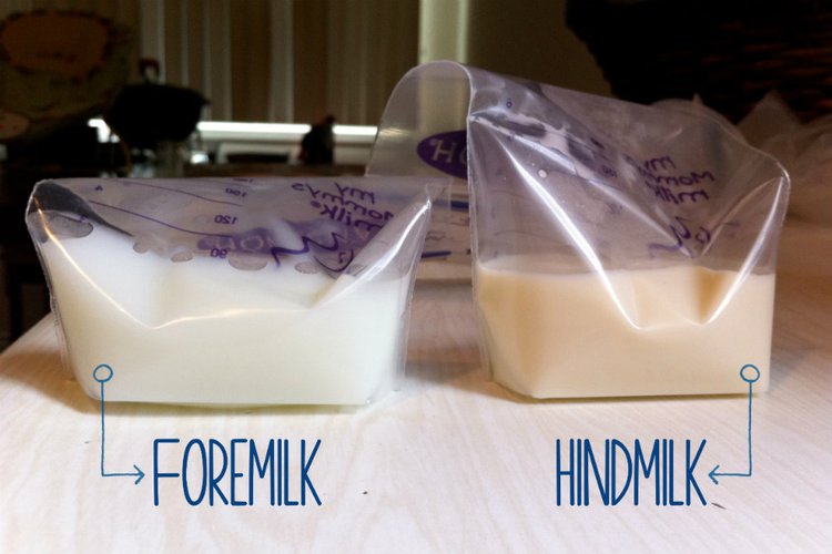 Parenting Hub | Real Life Story of Parenting